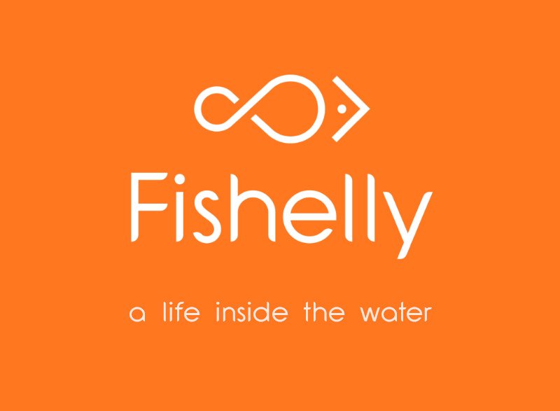 How To Take Care Of Aquarium Fish | Fishelly